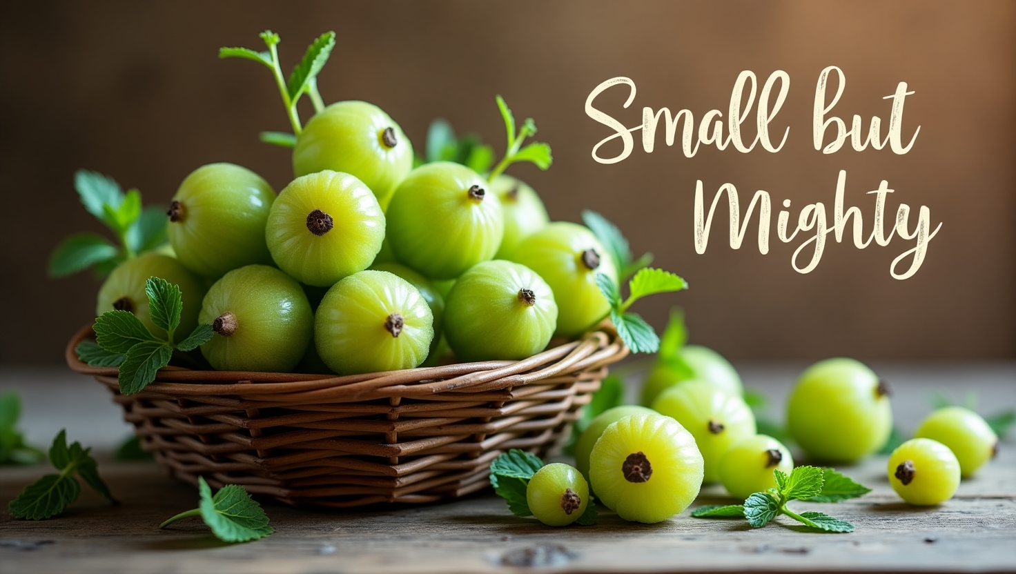Gooseberries – Small but Mighty Superfruit – Marlboro Meadows Farm